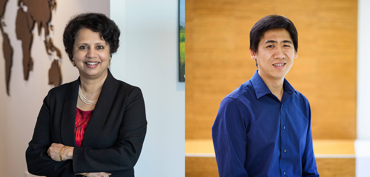 Princeton researchers receive $2.5 million to advance the science of ...