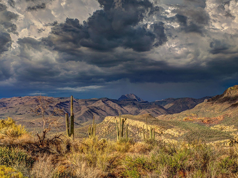 Climate change could lead to less sun for regions banking on solar power