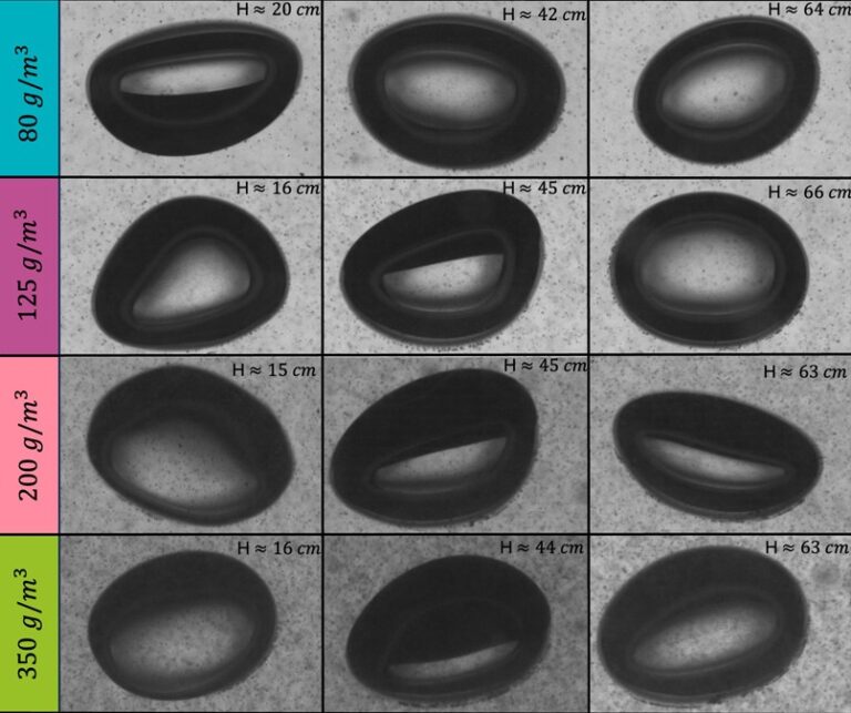 Andlinger Center celebrates 18 seniors, awards thesis prize for work on ...